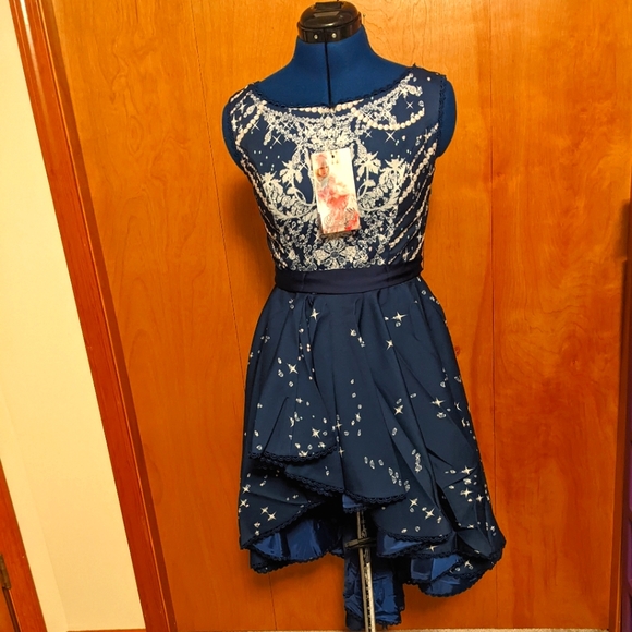 Haenuli | Dresses | Haenuli Ball Of Starlight Jsk Overdress Navy 24 ...